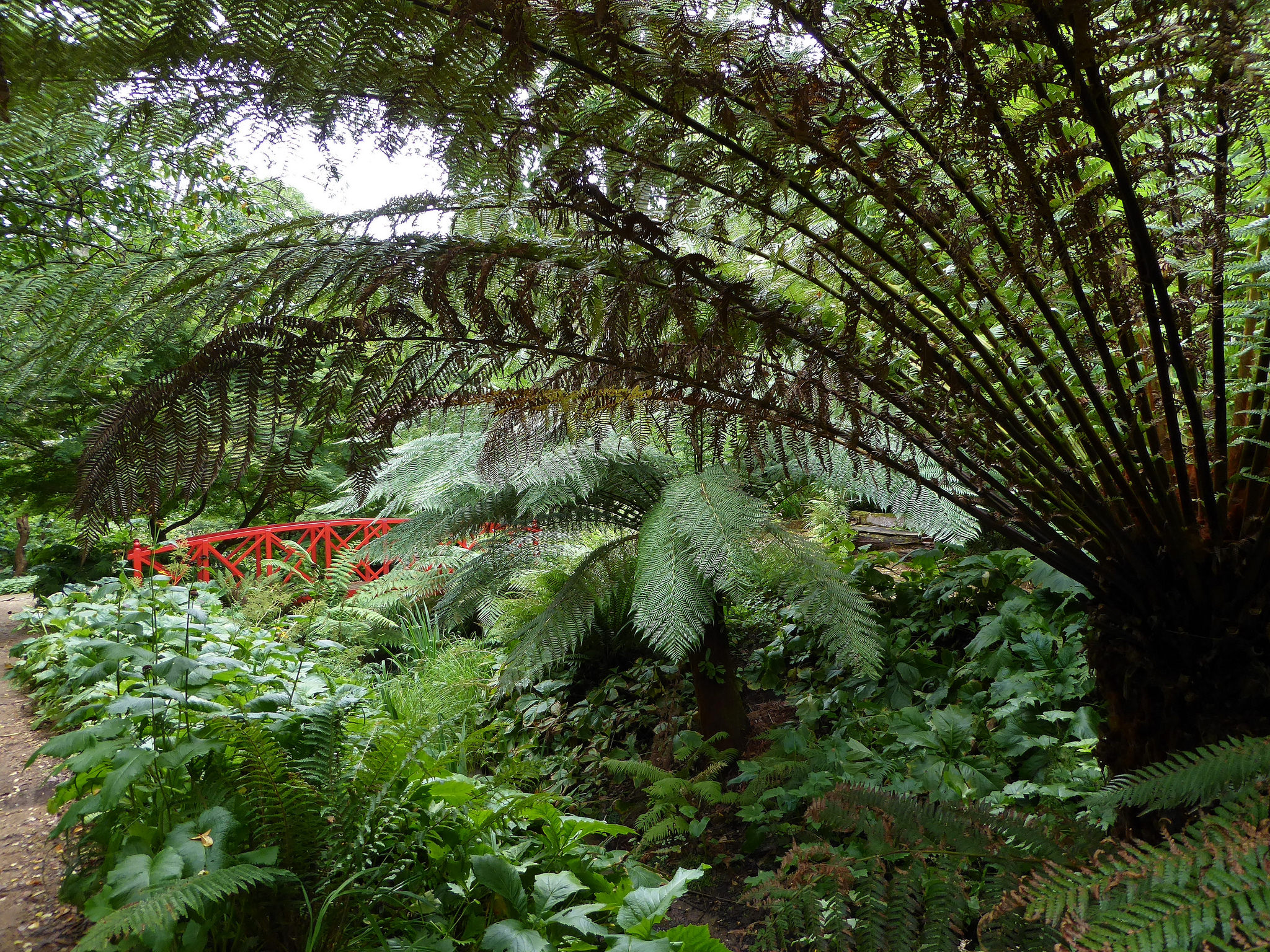 Down the garden Path – The South West Coast Path