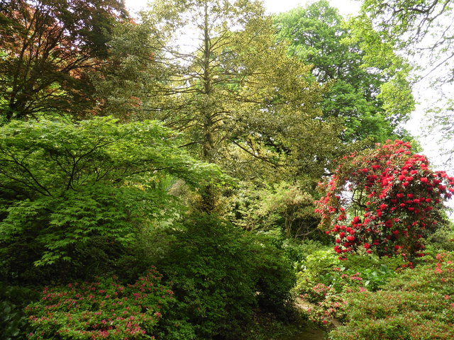 Down the garden Path – The South West Coast Path