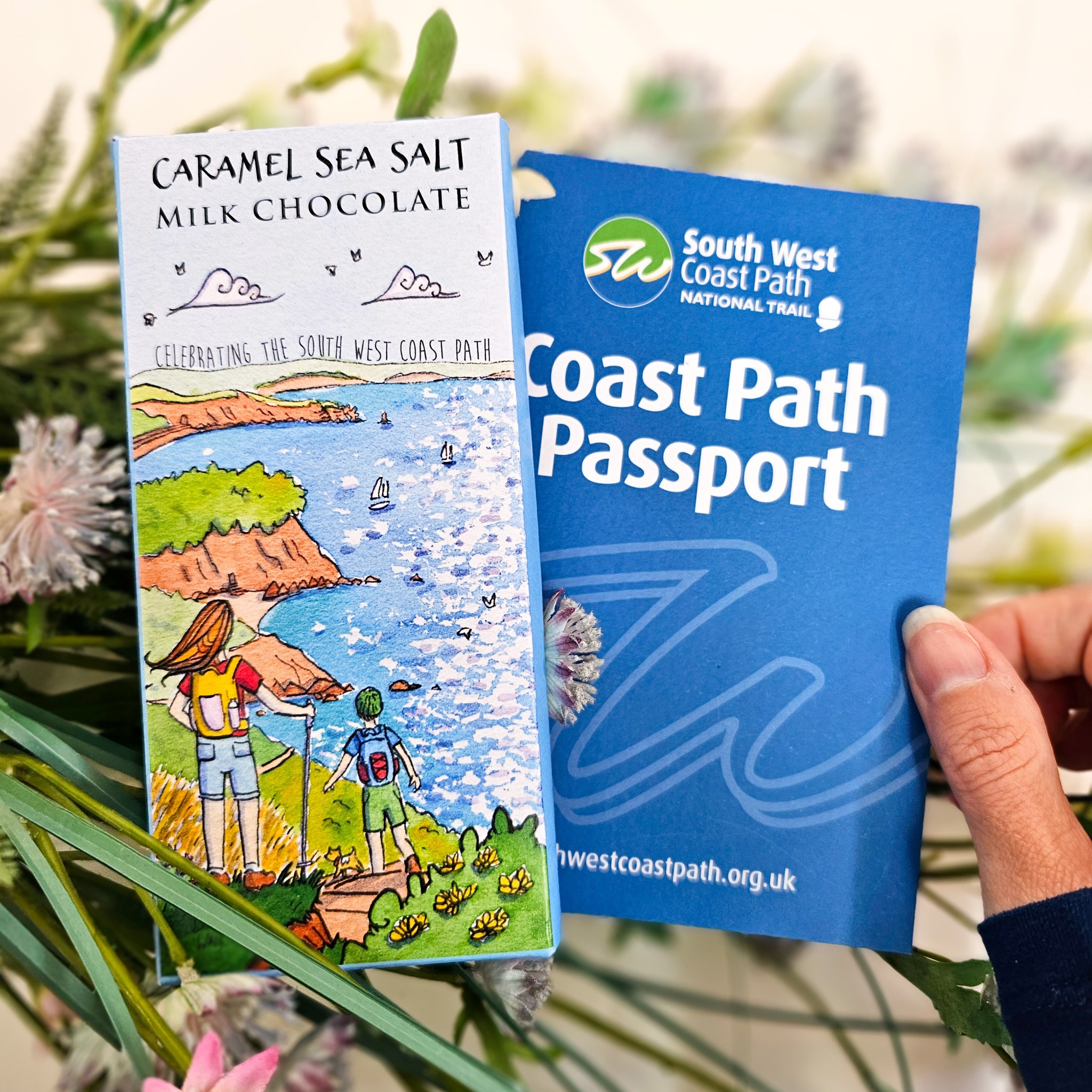 Inspired by the Coast – Laura Wall – The South West Coast Path
