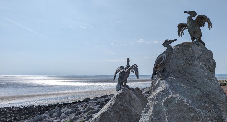 The Coast is our Compass – The South West Coast Path