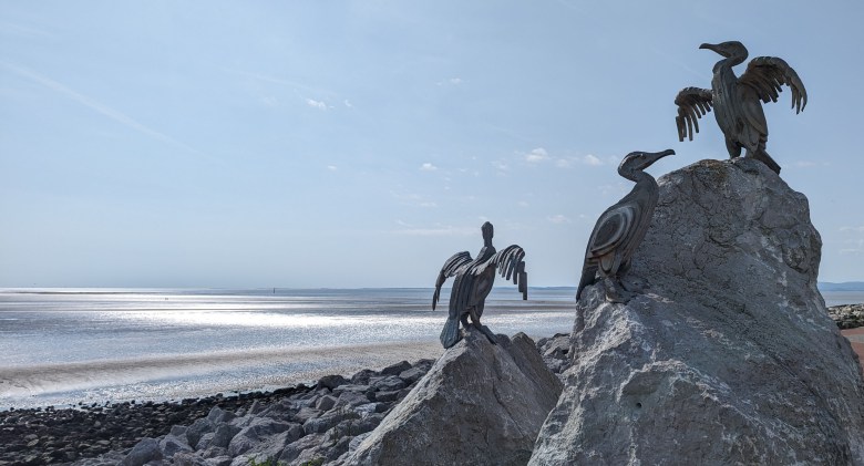 The Coast is our Compass – The South West Coast Path